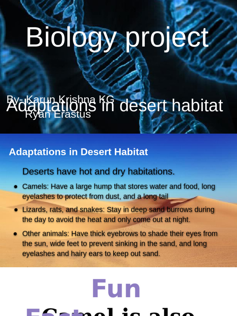 Biology Project - Karun - 6C | PDF | Desert | Leaf