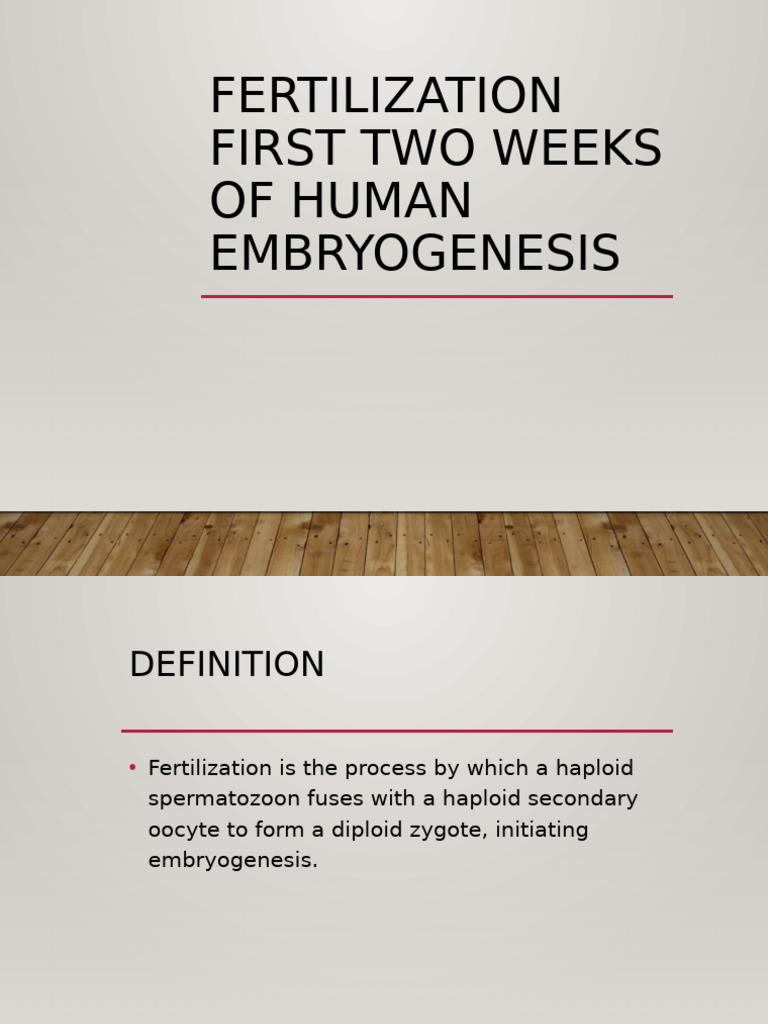 Fertilization Histology Lecture | PDF | Fertilisation | Developmental ...