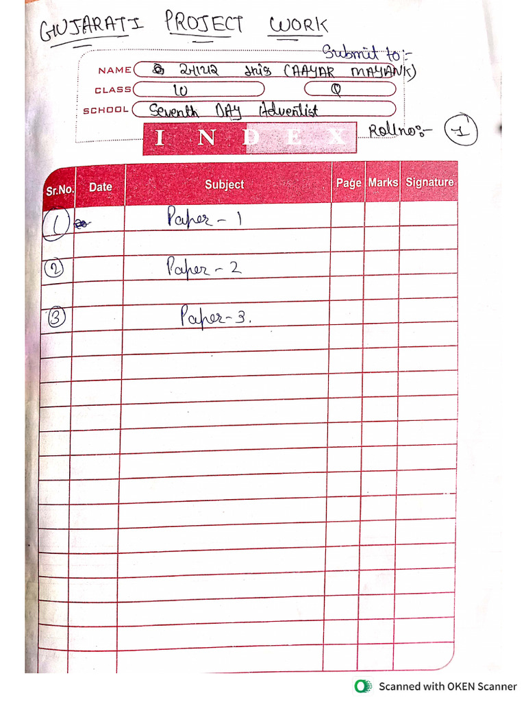 Mayank's Gujarati Assignment | PDF