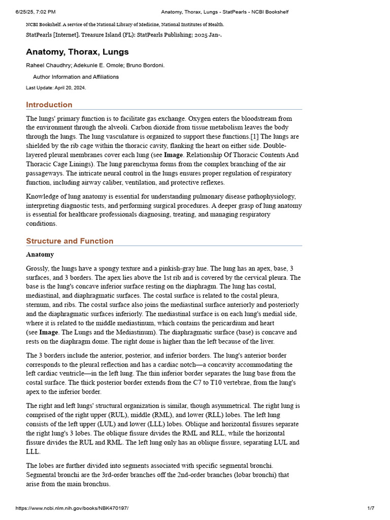 Anatomy, Thorax, Lungs - StatPearls - NCBI Bookshelf | PDF | Lung ...