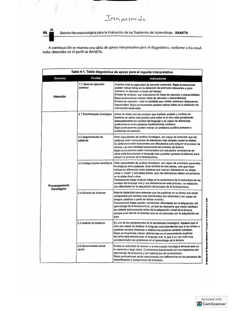 Protocolo de Interpretación BANETA | PDF