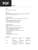 Effect of Sunlight On Plant Growth | PDF | Experiment | Botany