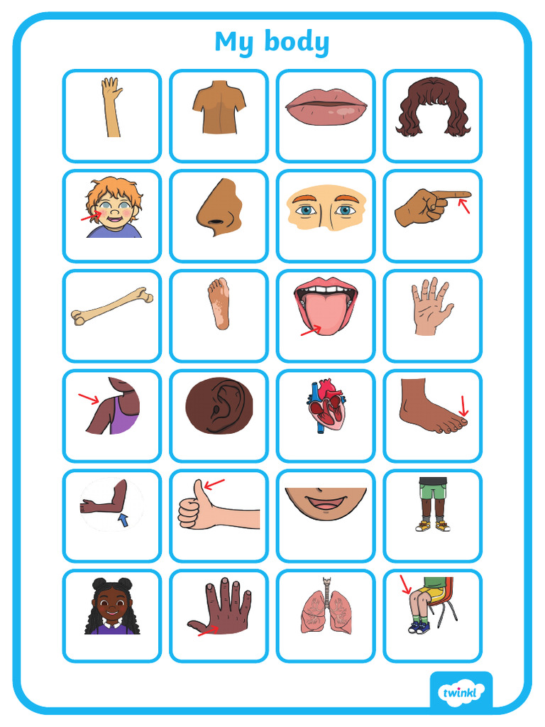 My Body Vocabulary Matching Mat | PDF | Hand | Foot