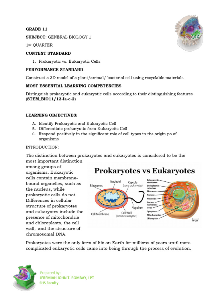 Lesson 3 Prokaryotic and Eukaryotic Plants | PDF | Cell (Biology ...
