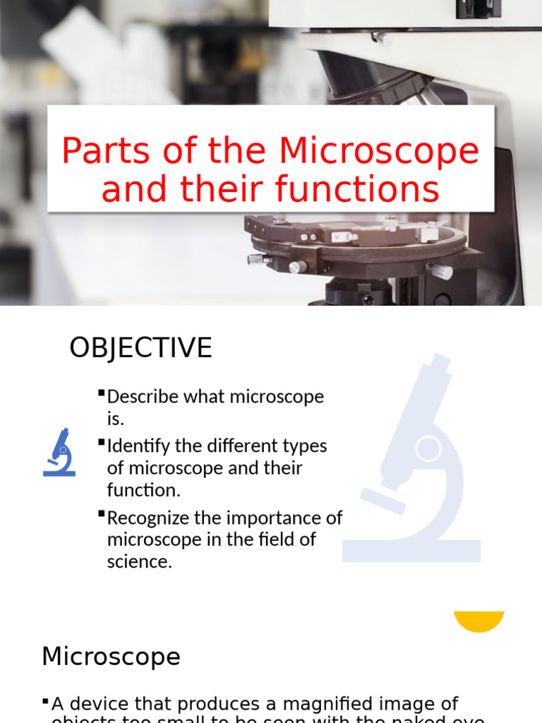 Parts of the Microscope and Their Functions_1 | PDF | Microscope | Lenses