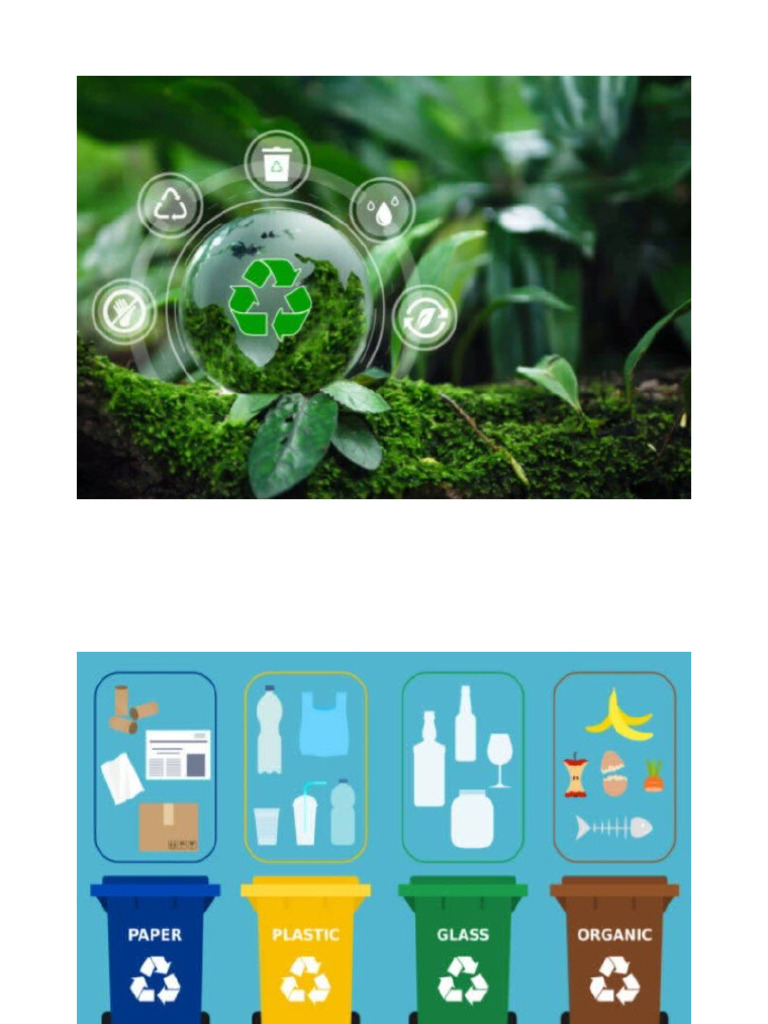 Recycling Presentation | PDF