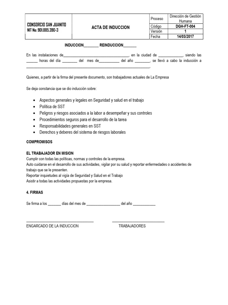 Formato de Induccion Reinduccion | PDF