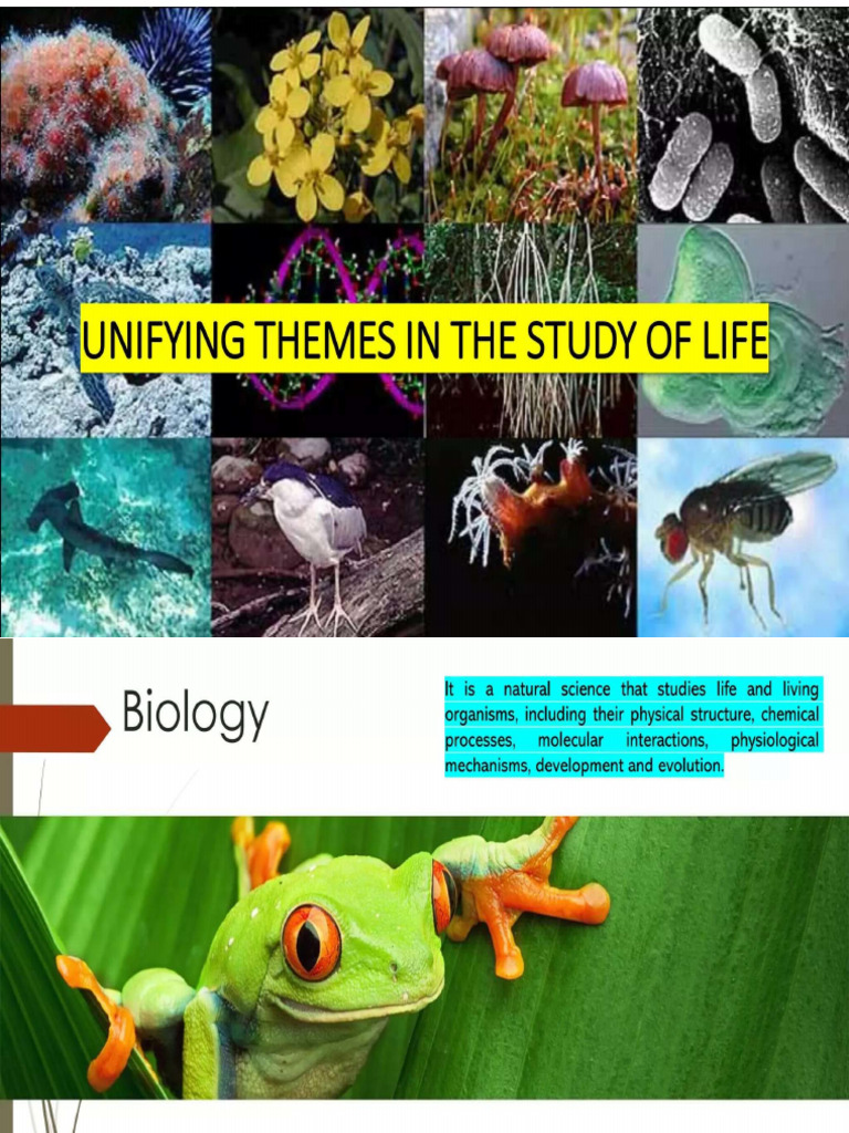 Biology I Lesson I 083034 | PDF