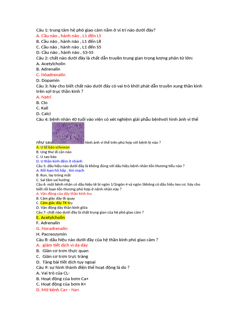 đề chụp ca thi TK | PDF