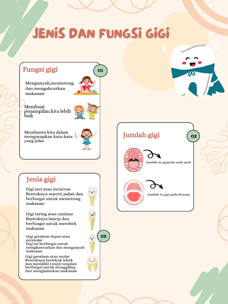 Jenis Dan Fungsi Gigi | PDF