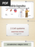Digestive System GIZMO | PDF | Digestion | Small Intestine