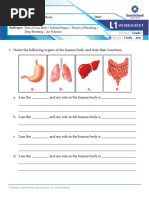 Grade 3 - Science - Our Body | PDF | Respiratory System | Lung