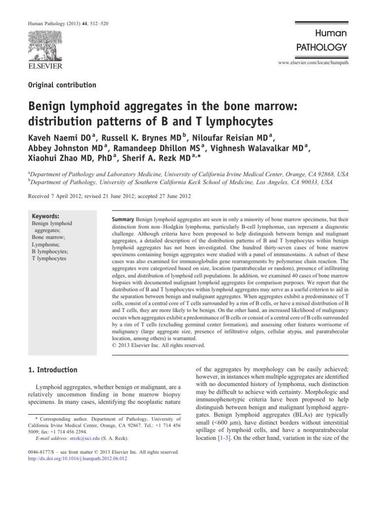 Infiltrate Limfoide in Maduva | PDF | B Cell | Lymphoma