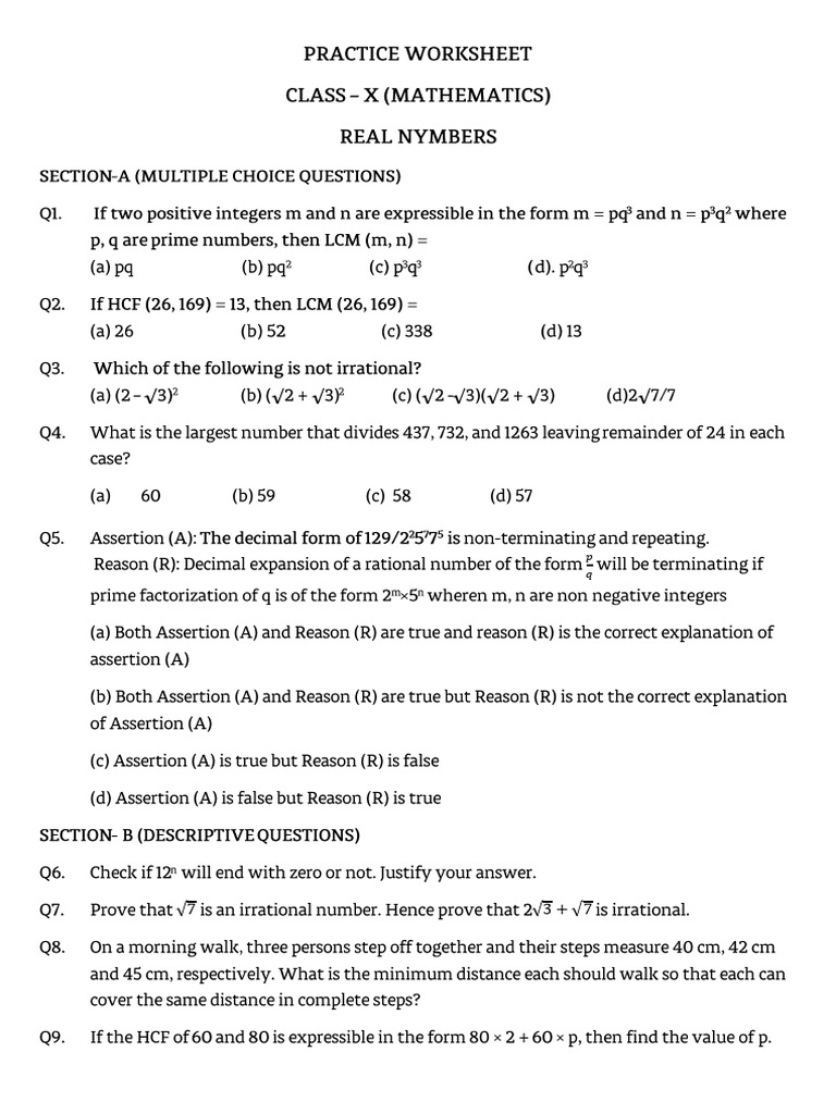 X-Real Numbers | PDF