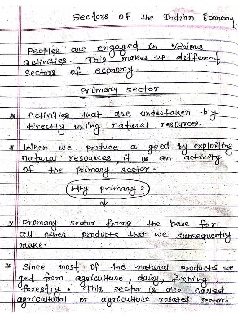 Economics Chapter 2 Notes | PDF
