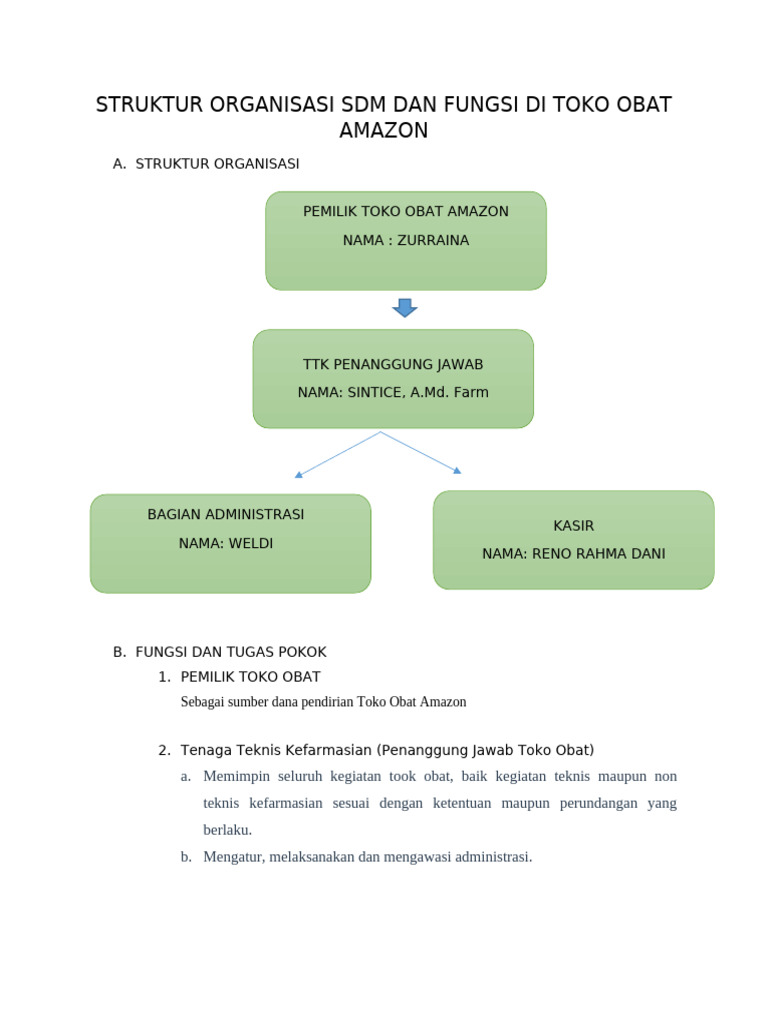 Struktur Organisasi SDM Dan Fungsi Di Toko Obat Amazon | PDF