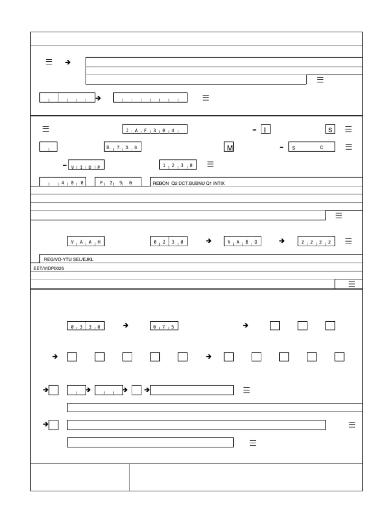 International Flight Plan Form | PDF