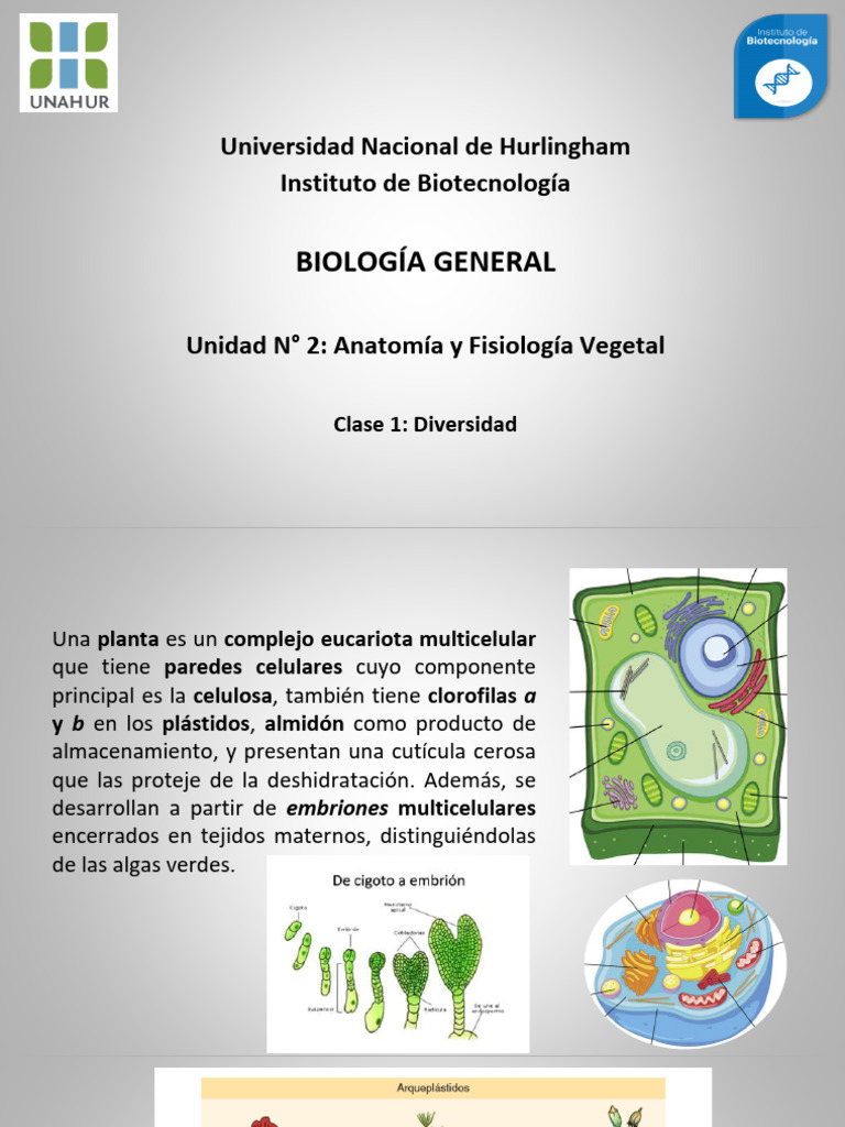 Anatomía y Fisiología de Plantas | PDF | Plantas | Flores