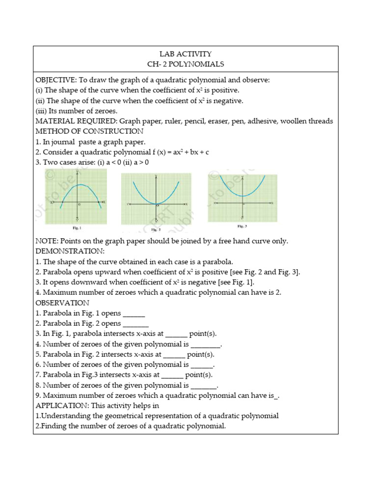 CH-2 LAB Activity | PDF