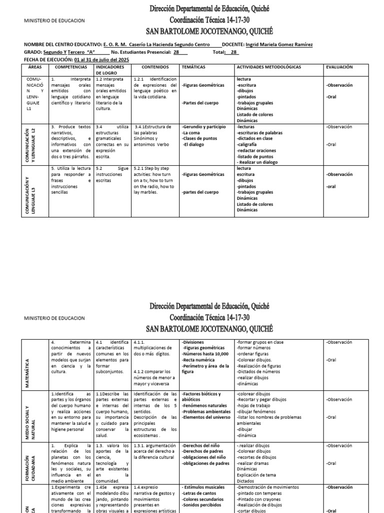Plan Junio 2025 | PDF