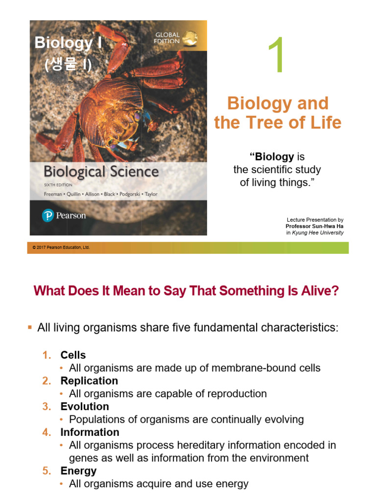 Biology and the Tree of Life Overview | PDF | Biological Classification ...