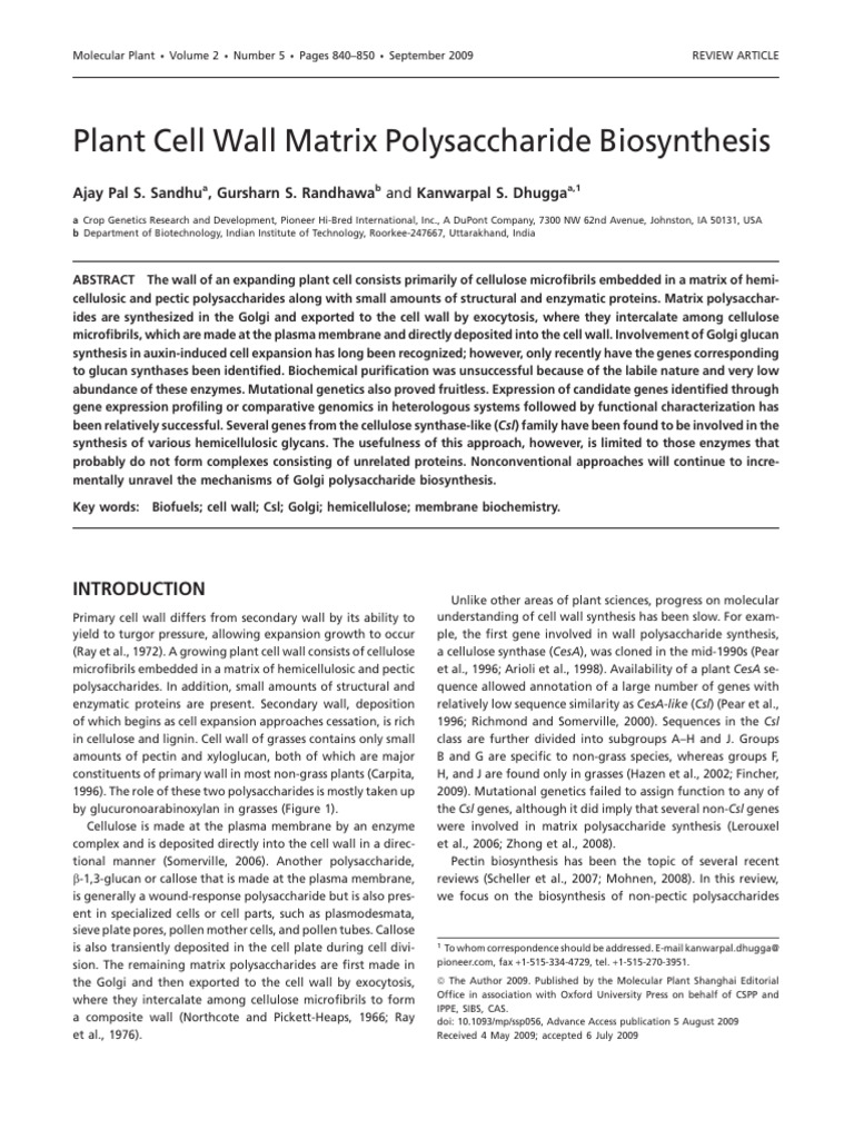Plant Cell Wall Matrix Polysaccharide Biosynthesis | PDF | Cell Wall ...