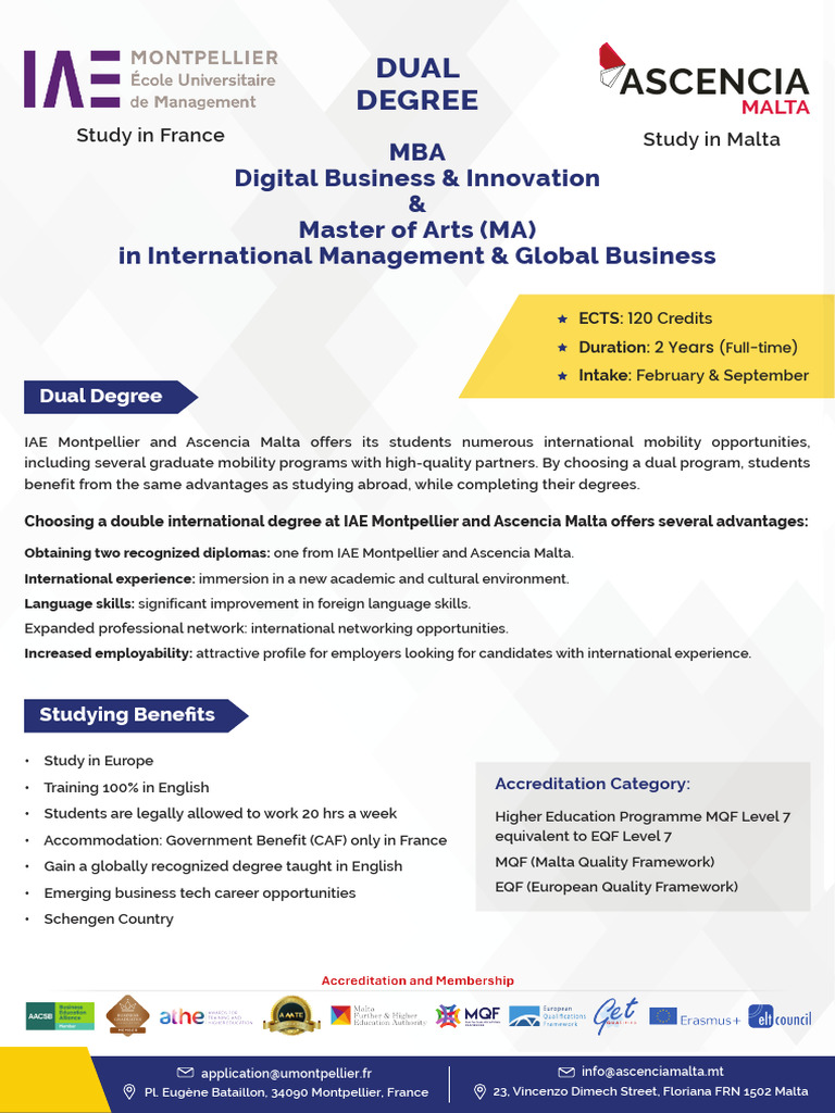 Dual Degree MBA Digital Business - Innovation - Master of Arts - MA ...