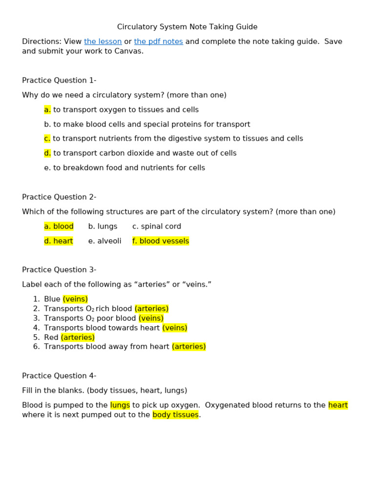 Circulatory System Note Taking Guide | PDF