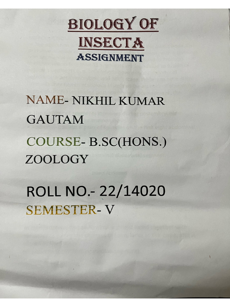 Biology of Insecta Assignment | PDF