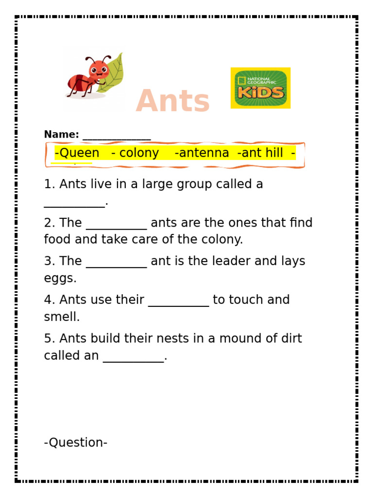 Ants Worksheet | PDF