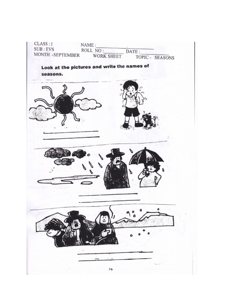 CBSE Class 1 EVS Worksheet - Seasons (2) | PDF