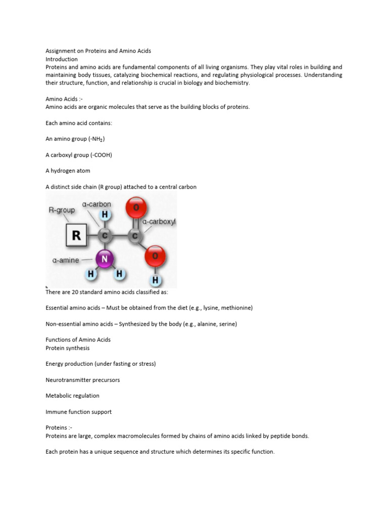 Assignment On Proteins and Amino Acid | PDF | Proteins | Amino Acid