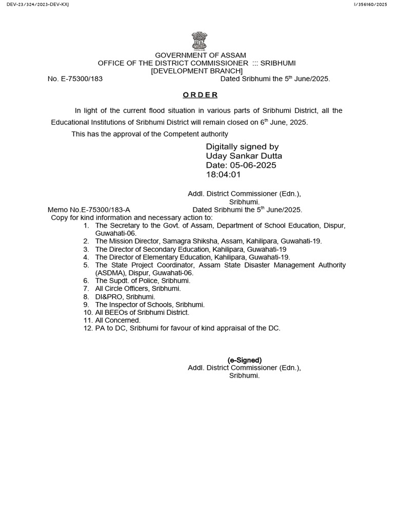 Document | PDF