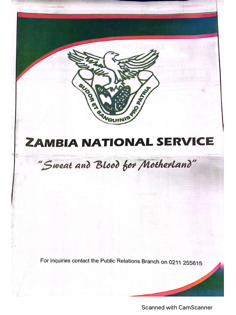 ZNS | PDF