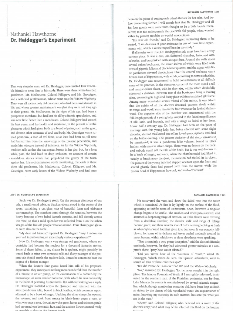 DR Heidegger - S Experiment | PDF