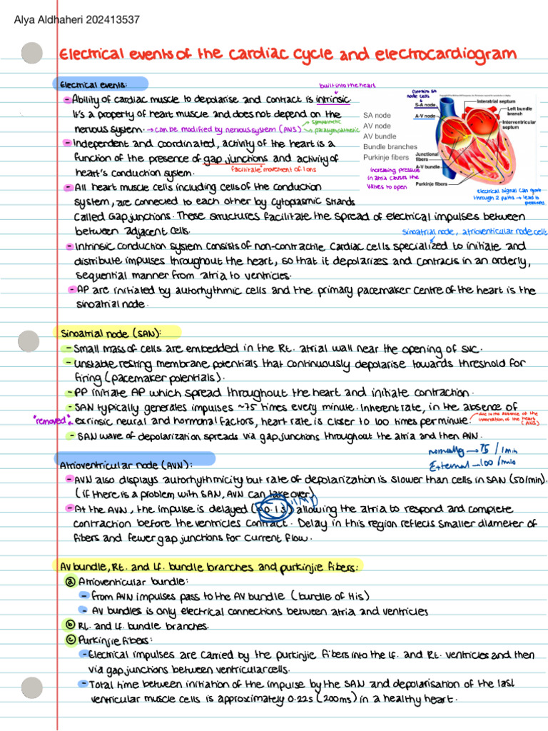 Electrical Events of The Cardiac Cycle and Electrocardiogram 2 | PDF ...