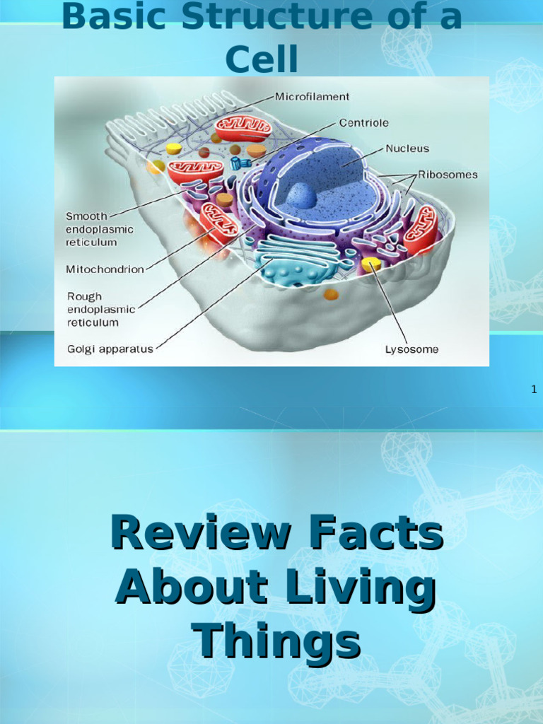 BIO 102-LECTURE WK 1 & 2 Structure of The Cell | PDF | Endoplasmic ...