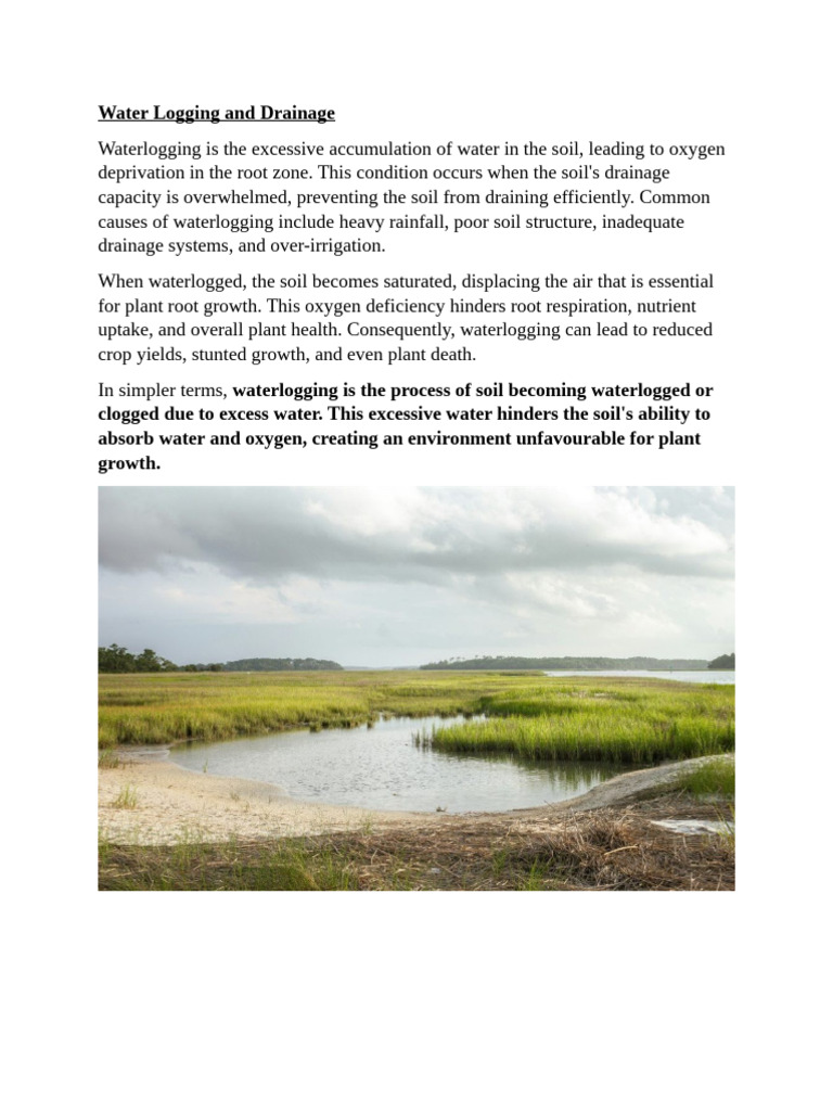 Water Logging and Drainage | PDF | Drainage | Soil