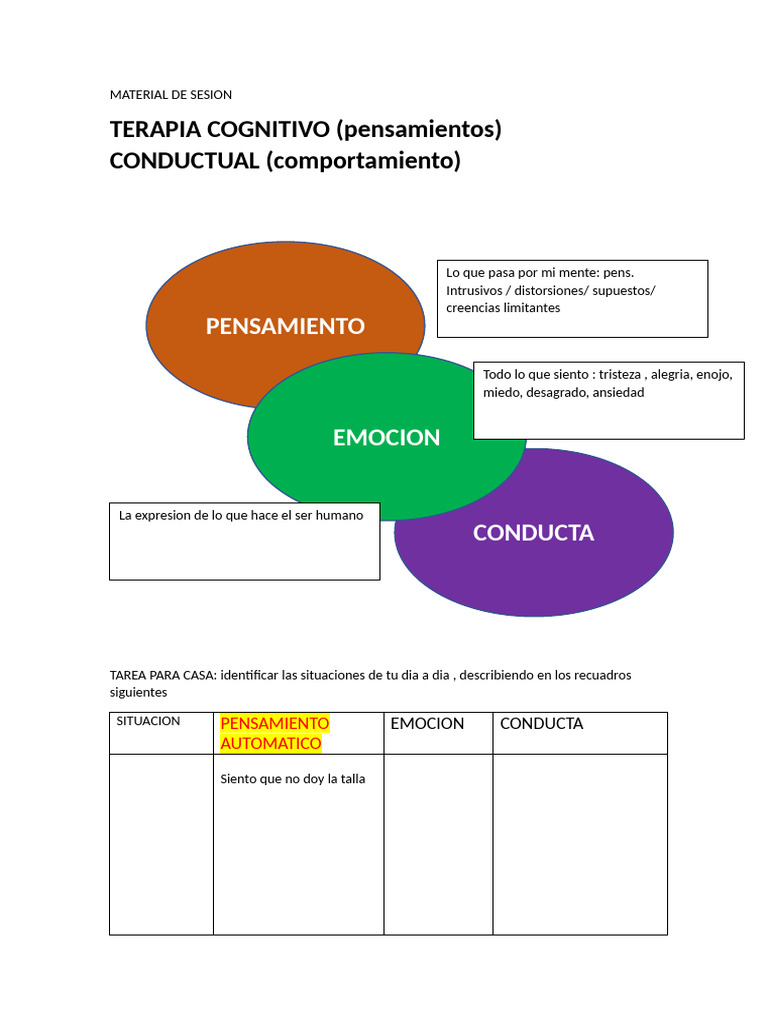 Psicoeducacio Terapia Cognit Conduc | PDF