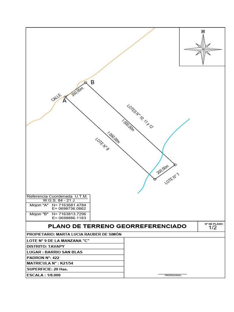 Marta Lucia Rauber de Simón-Model | PDF