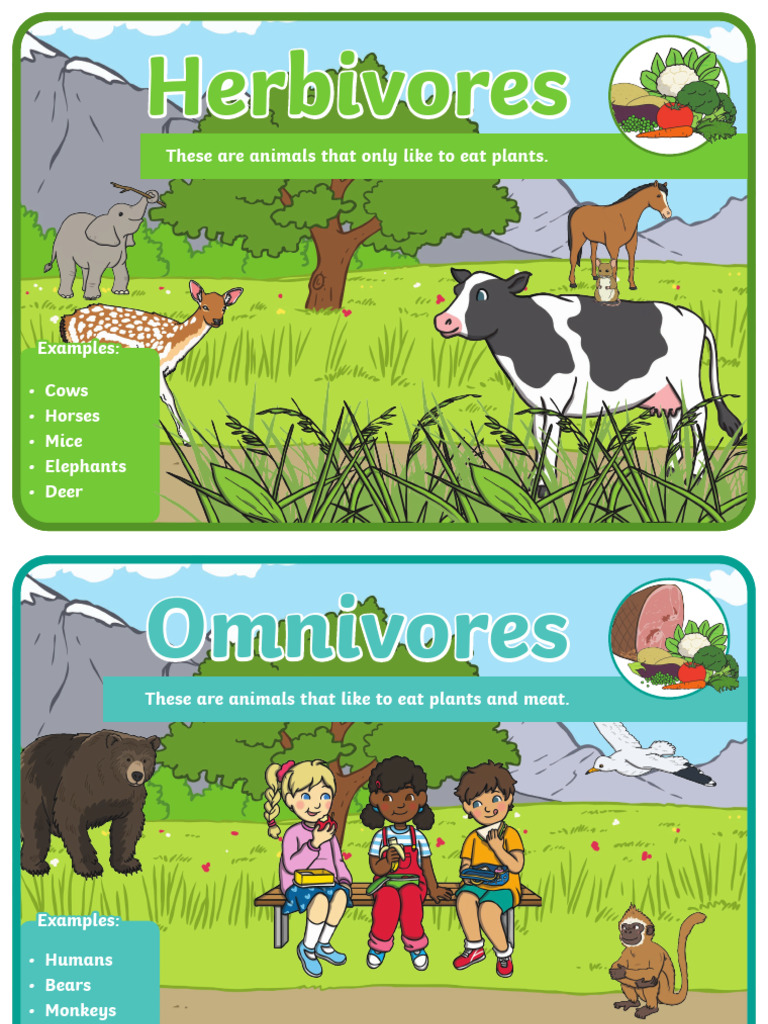 Herbivores, Omnivores, and Carnivores Explained | PDF
