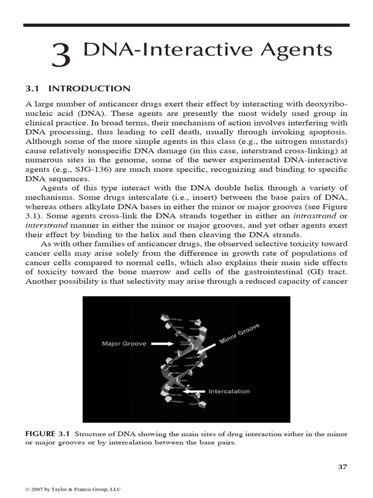 Cap 3 - DNA-Interactive Agents | PDF | Dna Repair | Dna