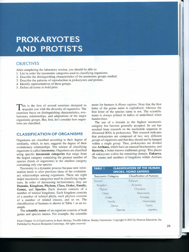 110 Week 4 Protocol-6 | PDF