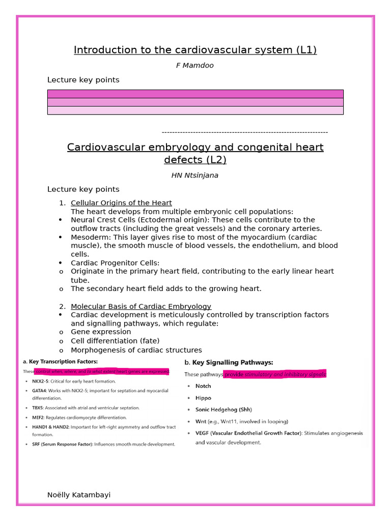 CVS SUMMARY Clincial Sciences NK | PDF | Heart Valve | Congenital Heart Defect