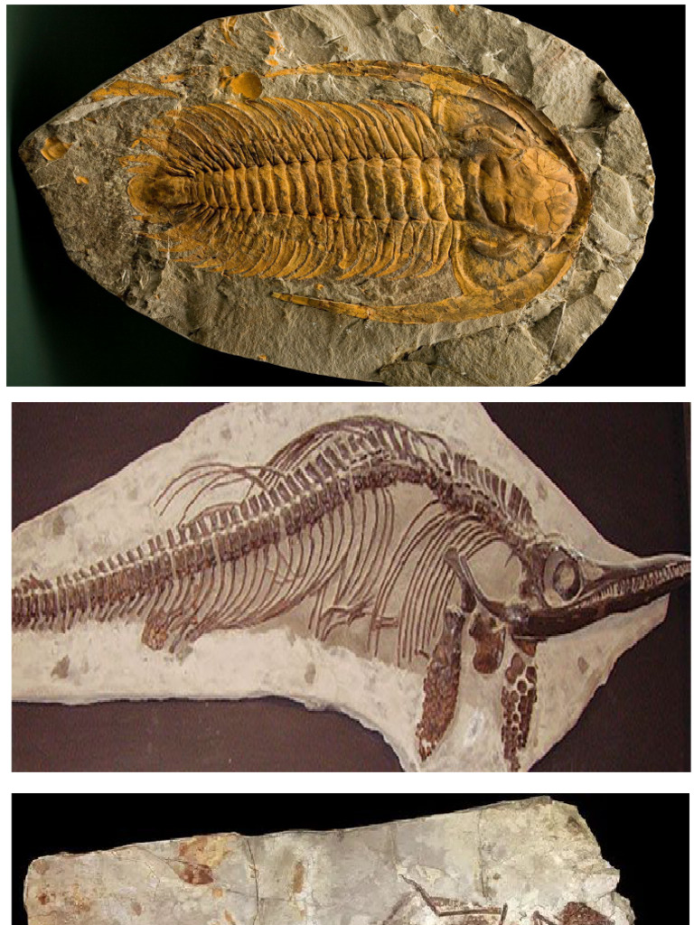3a Tinker Time Photos | PDF