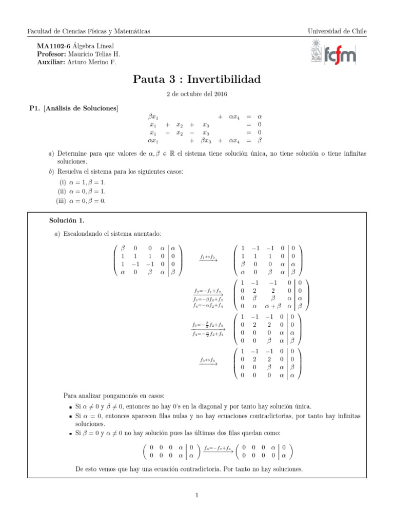 Pauta Auxiliar 3 | PDF | Matriz (Matemáticas) | Teoría del operador