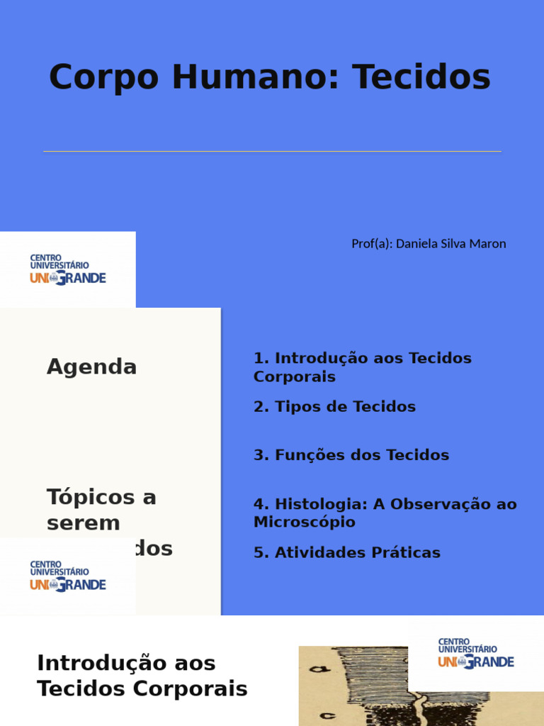 Tipos e Funções dos Tecidos Humanos | PDF | Tecido (Biologia) | Corpo ...