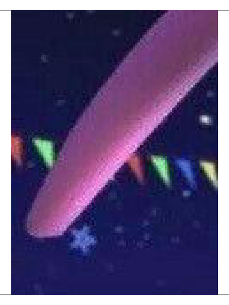 Rasterbation | PDF