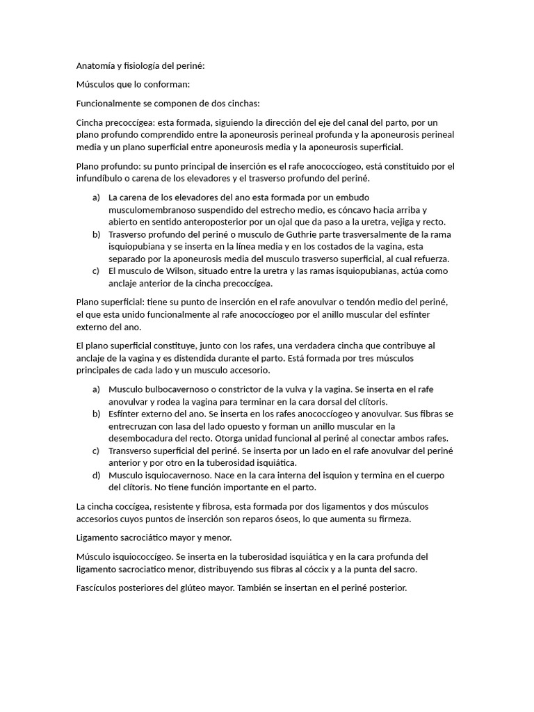 Anatomía del rafe anovulvar y anococcígeo | PDF | Músculo | Vagina
