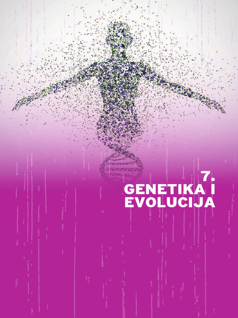 Split 20250624 1849 | PDF